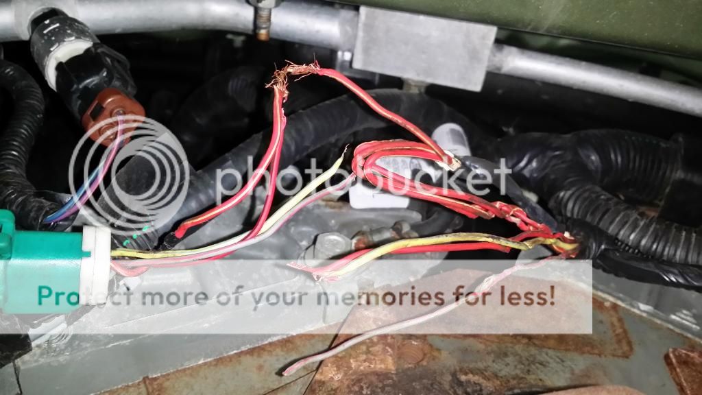 2005 02 sensor harness pinched | Ford Mustang Forum