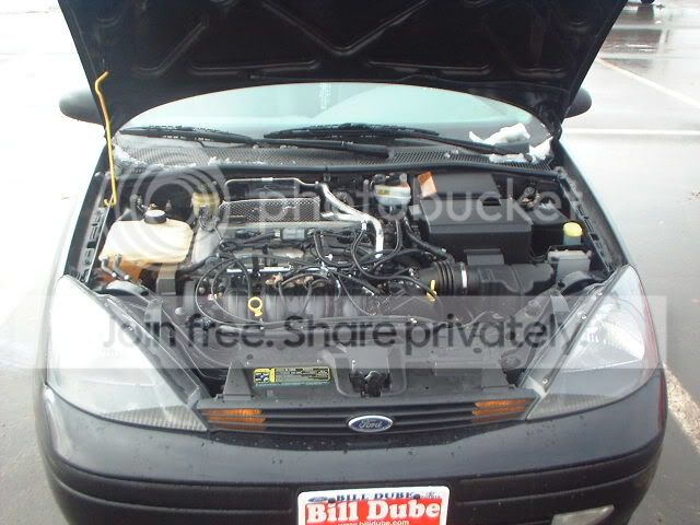 engine bay images. | Focus Fanatics Forum