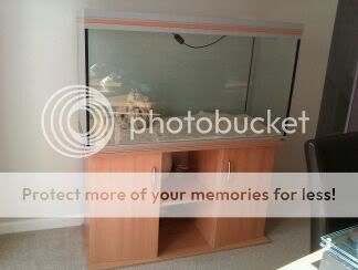 SW England - 4Ft Rena Fish Tank, Torbay | Reptile Forums